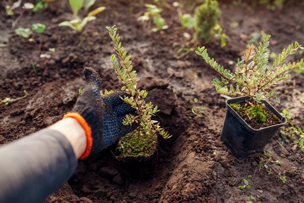 15 garden tips for October - https://www.aubinnurseries.ca/